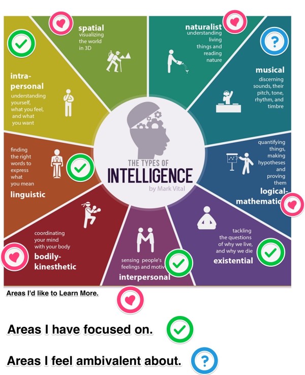 9 Intelligences – Gathering In Light